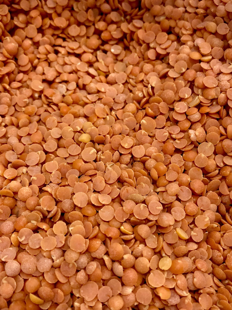 Organic Red Lentils – Marilla's Mindful Supplies